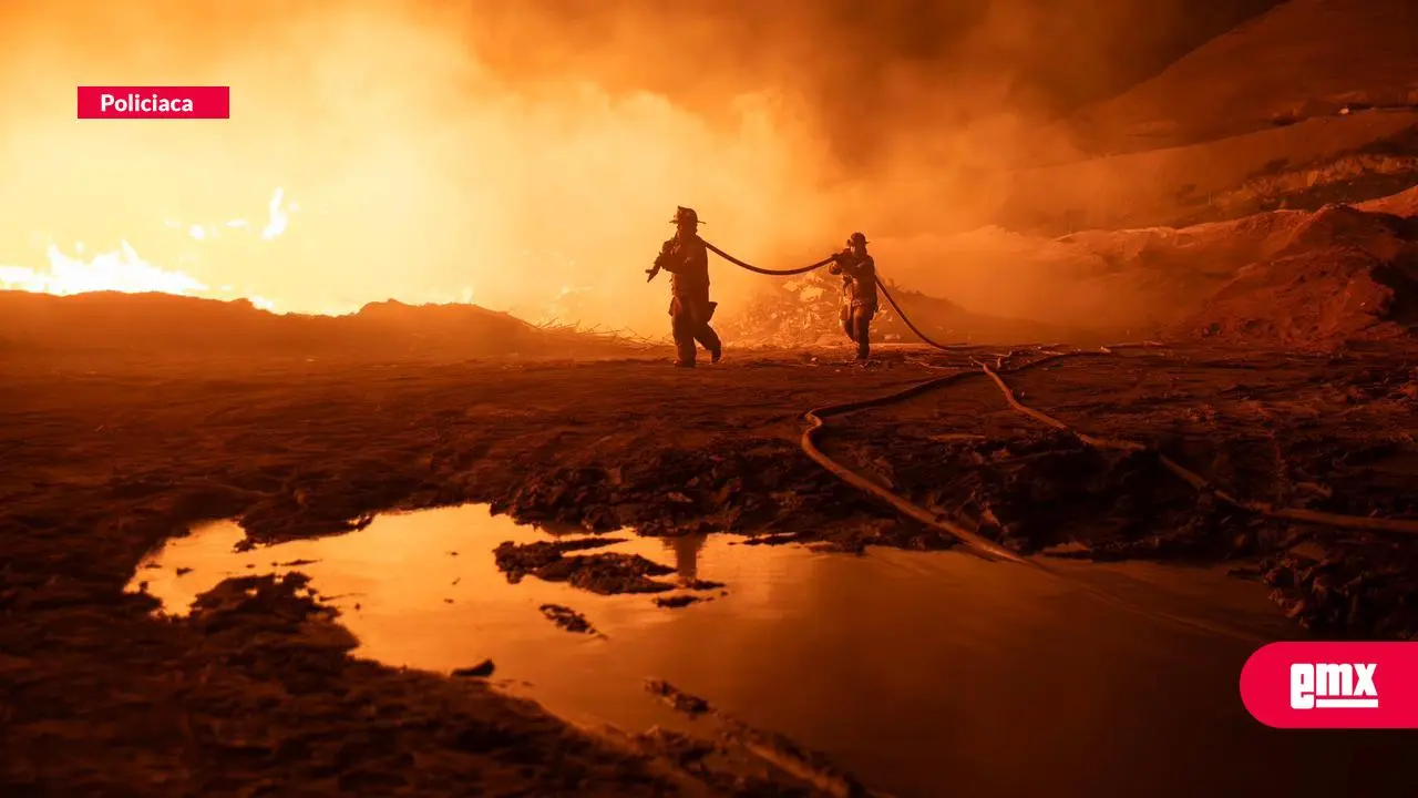 Incendio consume procesadora de aserrín en Tijuana, BC