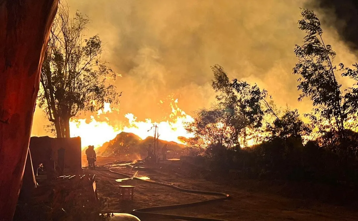 Incendio en planta de aserrín en Tijuana obliga a evacuar 45 personas
