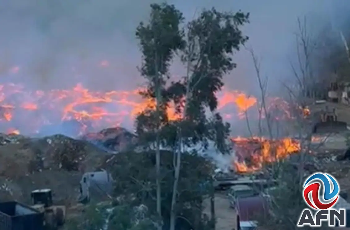 Incendio en procesadora de madera en Tijuana tardará varios días en ...