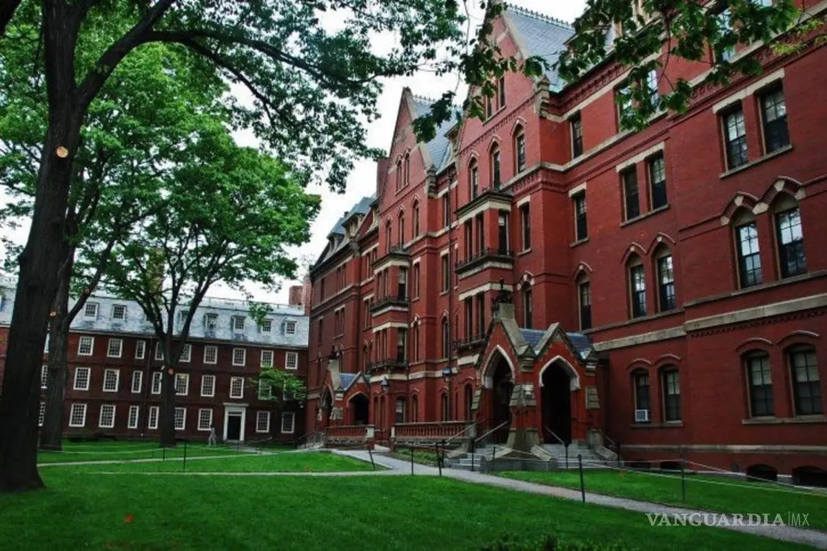 "Obra de Valeria Padilla representará a México en Harvard el 10 de abril"