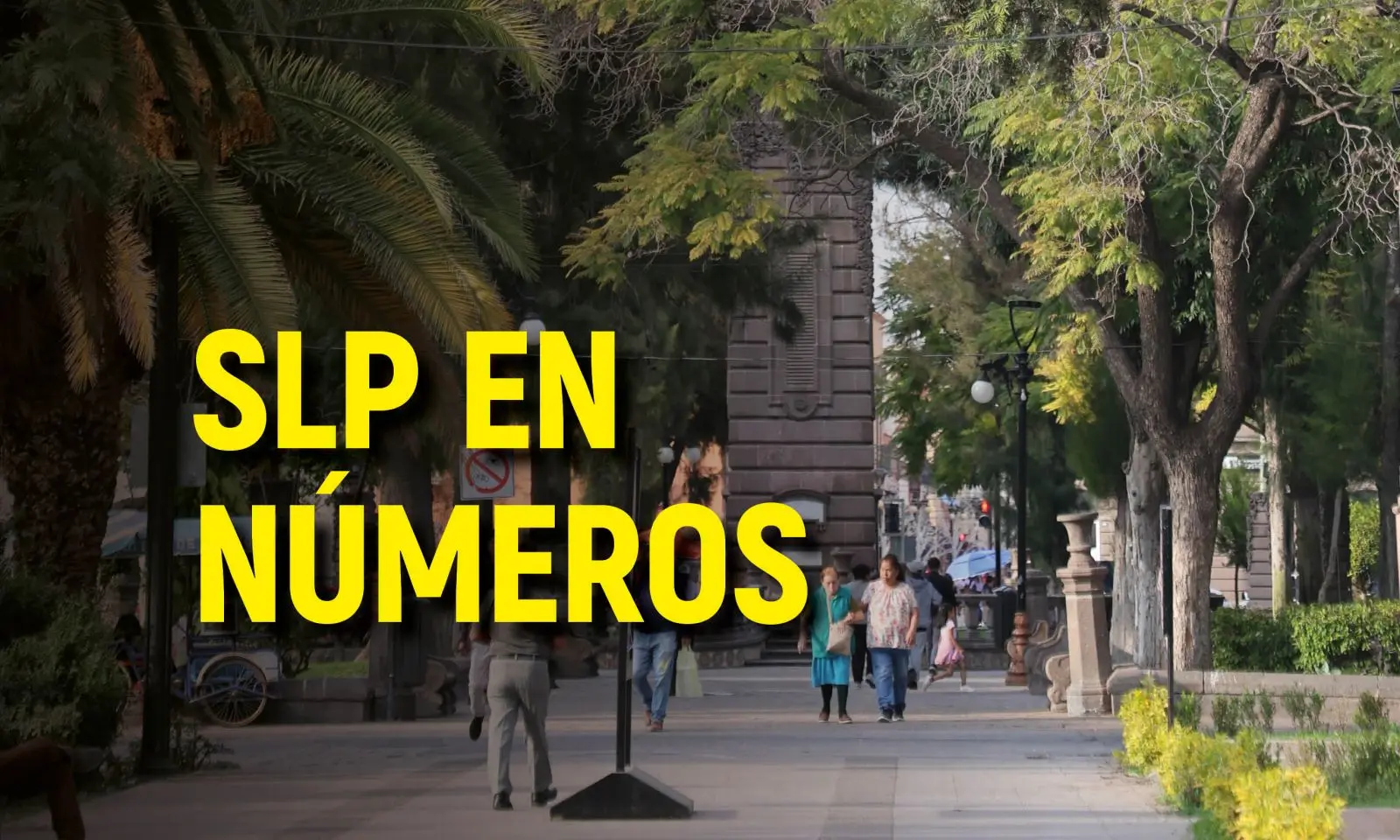 San Luis Potosí enfrenta disminución poblacional y desigualdad social