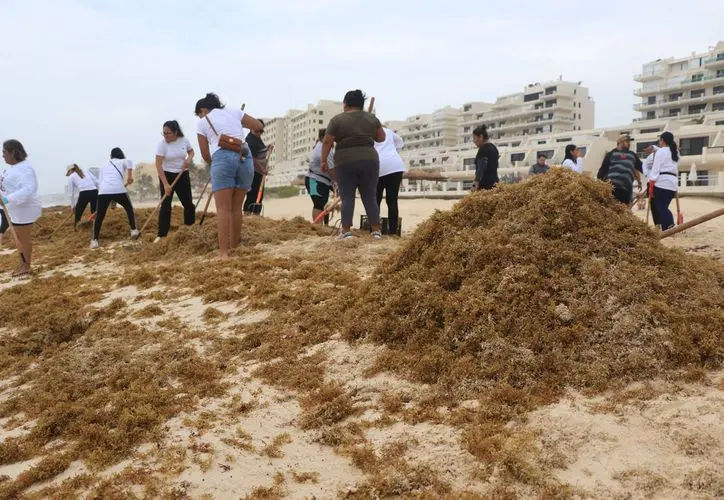 Estrategia de 7,500 metros de barreras contra sargazo en Cancún