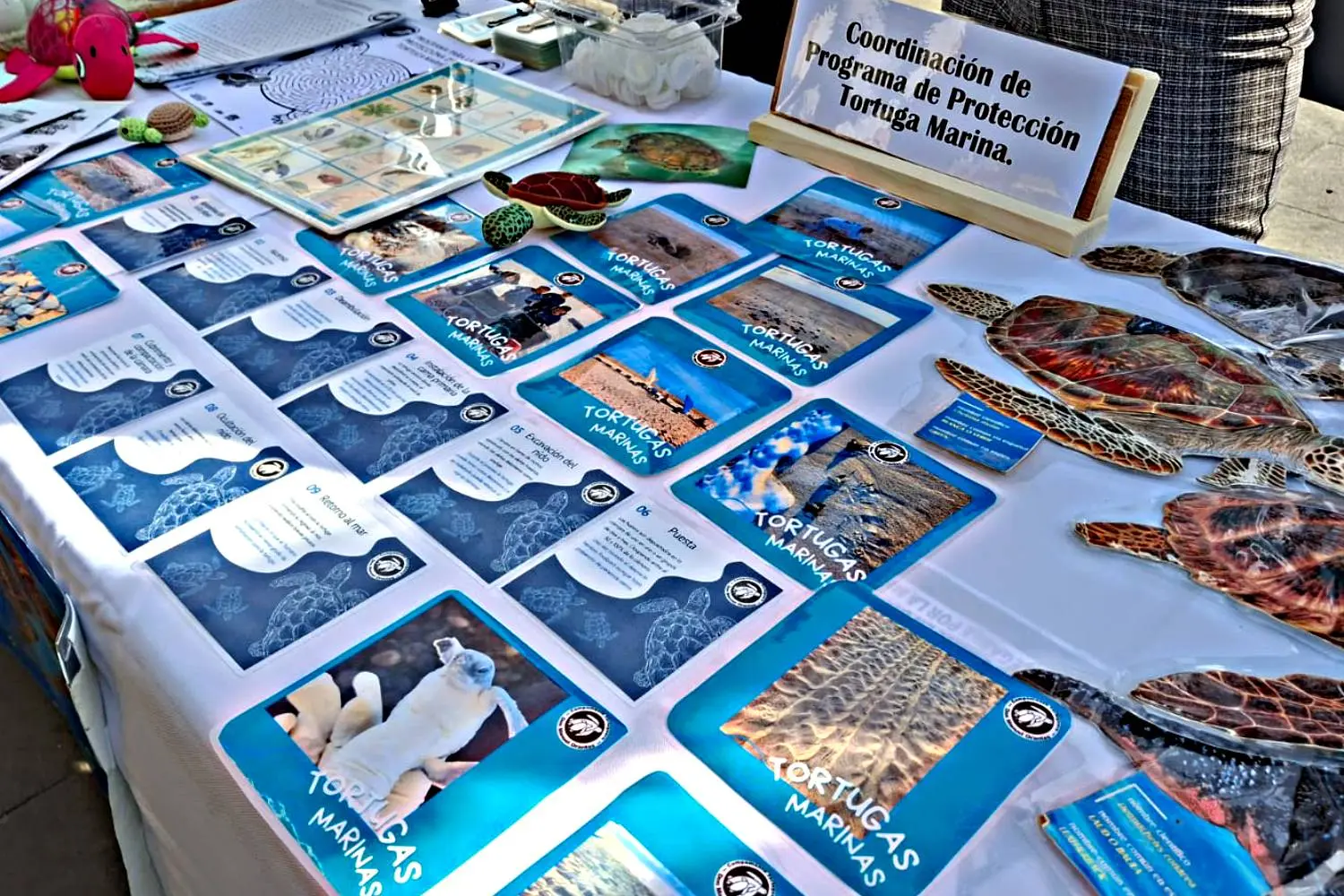 Concientizan sobre educación ambiental en ceremonia en Los Cabos