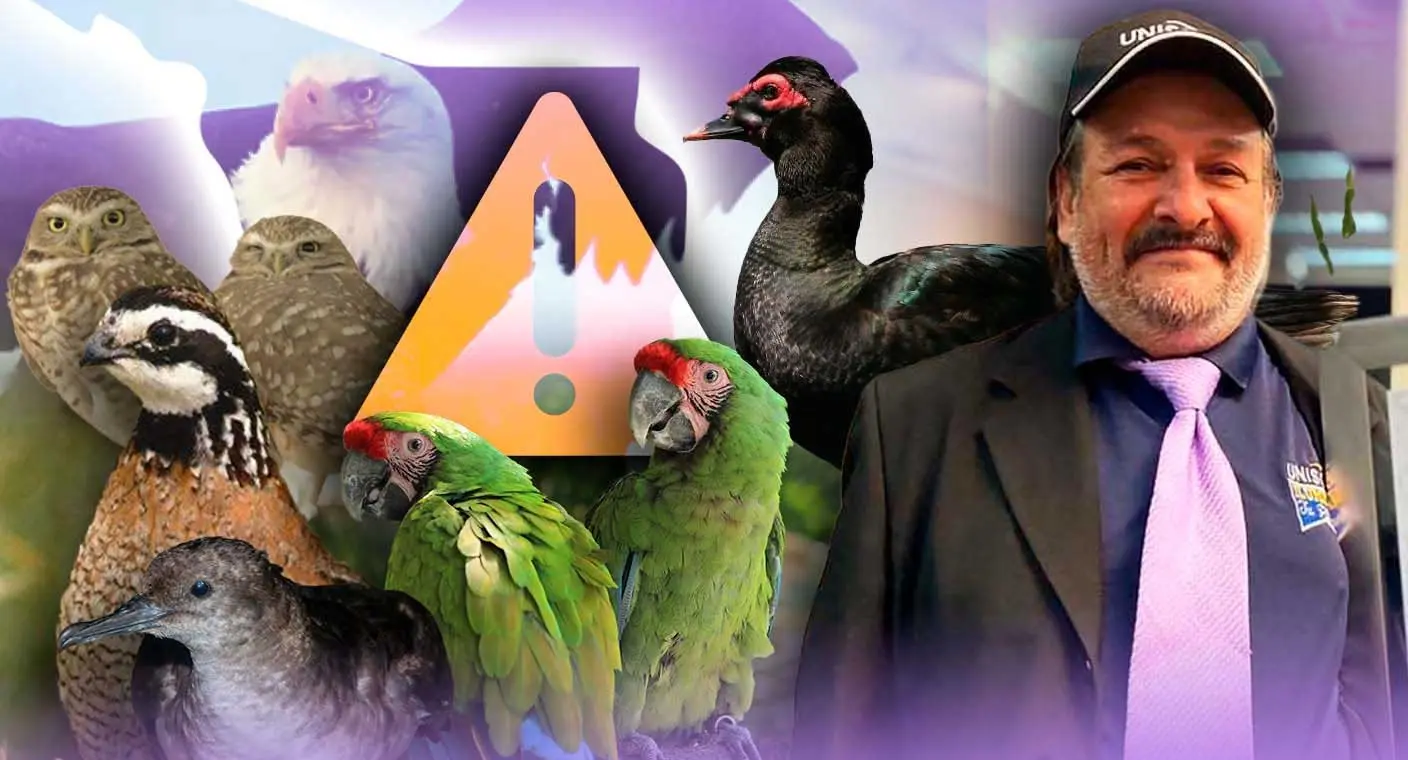 Al menos 20 especies de aves en Sonora enfrentan riesgo de extinción